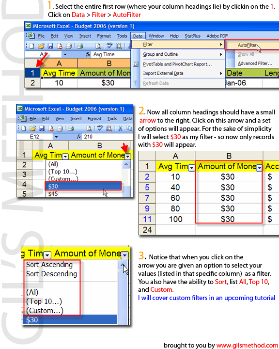 How To Use Autofilters To Sort Data In Excel GilsMethod